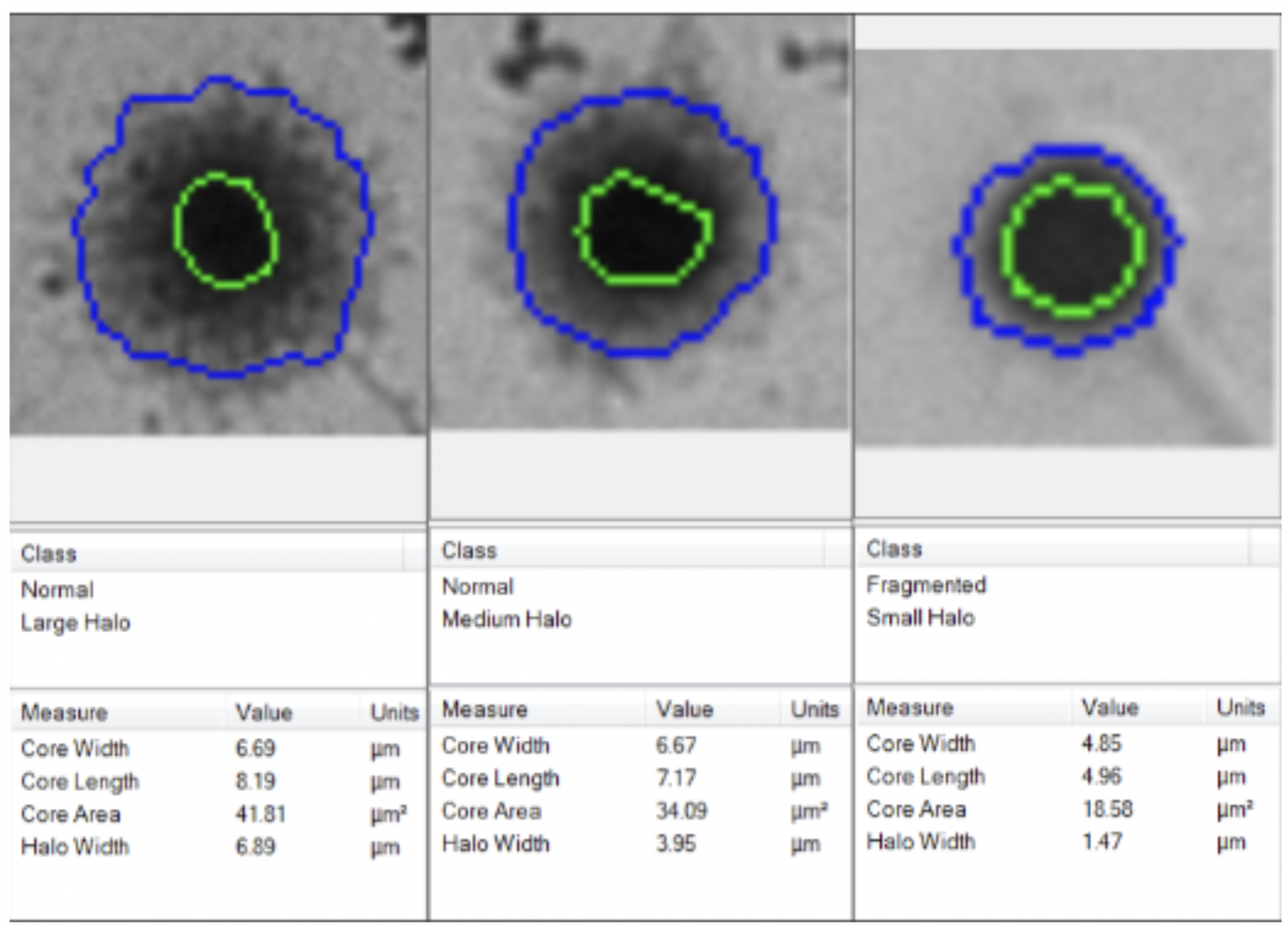 IVOS® II Sperm Analyzer - Hamilton Thorne