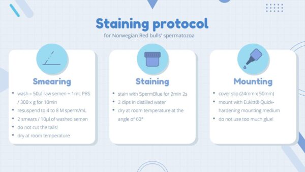 Assessment of bull sperm - Hamilton Thorne