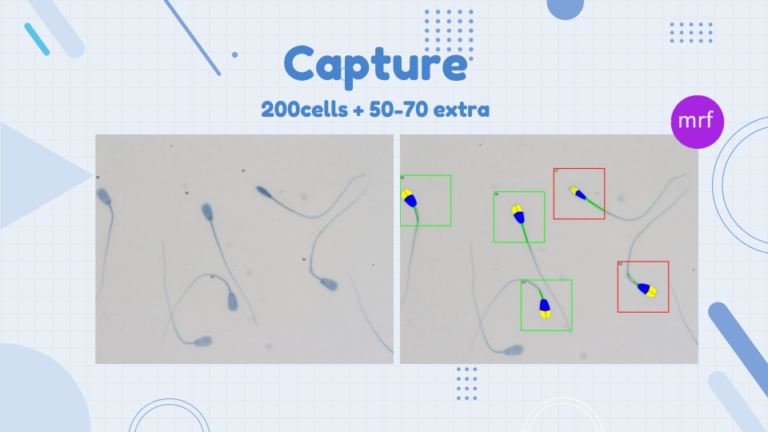Assessment of bull sperm - Hamilton Thorne
