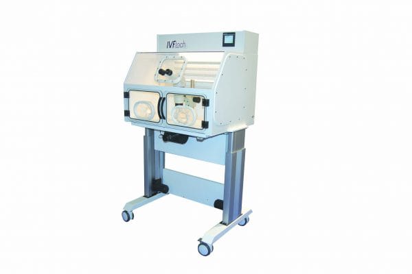 Javica - Hamilton Thorne