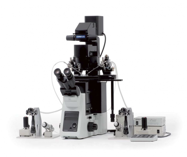 Olympus IX73 Inverted Microscope - Hamilton Thorne